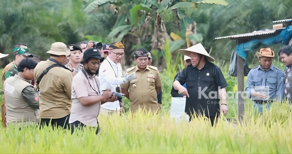 Pemprov Kaltara Genjot Program Cetak Sawah 2025 untuk Wujudkan Lumbung ...